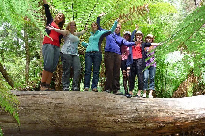 Mt Field, Mt Wellington & Tassie Devils Active Tour from Hobart - Who Should Consider This Tour?