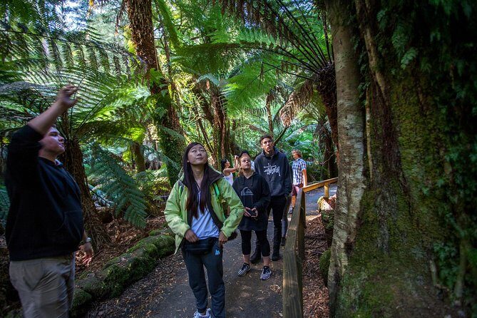 Mt Field, Mt Wellington & Tassie Devils Active Tour from Hobart - Final Thoughts