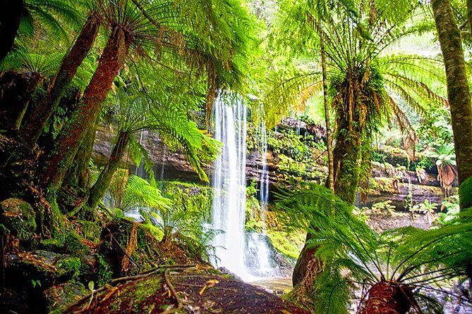 Mt Field National Park and Russell Falls from Hobart - Journey Through Tasmania’s Natural Beauty, Step by Step