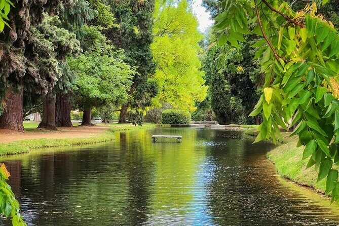 Mt Field National Park and Russell Falls from Hobart - Practical Details: What to Expect