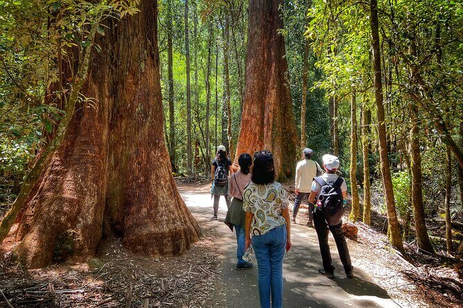 Mt Field National Park and Russell Falls from Hobart - Final Thoughts: Is This Tour for You?