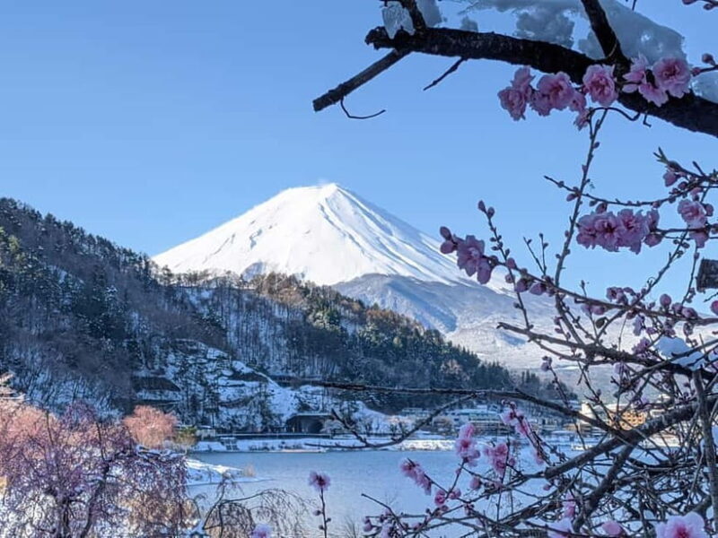 Mt. Fuji: 1-Day Private Tour from Tokyo with Certified Guide - FAQ