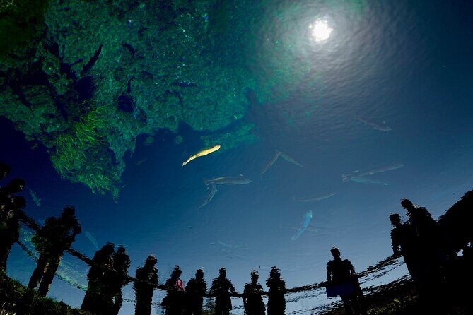 "Mt. Fuji 1-Day Private Tour with English Speaking Driver-Guide" - Optional Route Choices