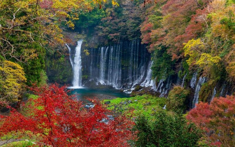 Mt Fuji : 10 hours Private Tour in Luxury Private Car - What Travelers Can Expect