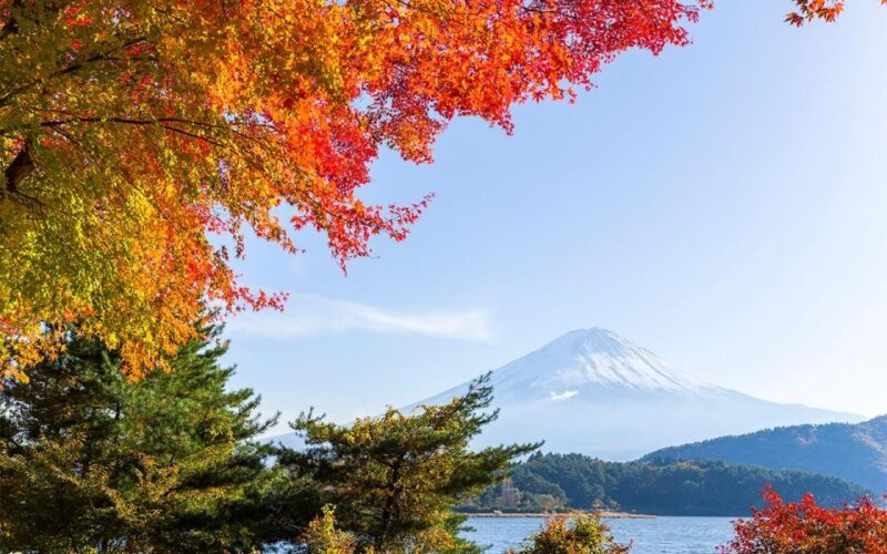 Mt Fuji : 10 hours Private Tour in Luxury Private Car - Authentic Experiences That Matter