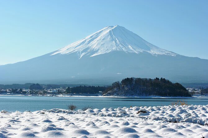 Mt. Fuji 5th Popular Spots & Sagamiko Illumination Tour fr Tokyo - Authentic Experiences & Traveler Insights
