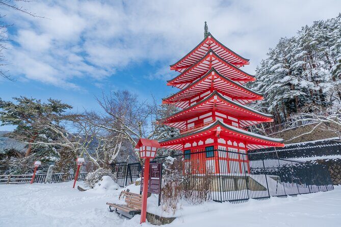 Mt. Fuji 5th Popular Spots & Sagamiko Illumination Tour fr Tokyo - Who Will Love This Tour?