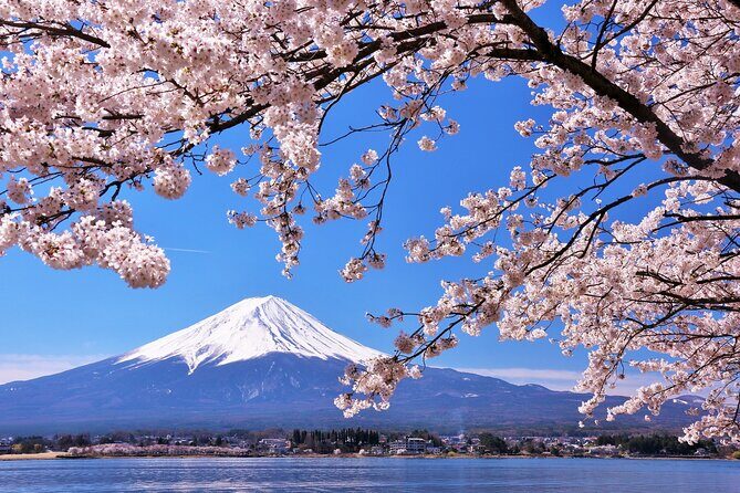 Mt. Fuji 5th St and Gotemba Outlets (Disband at Gotemba Outlets) - Final Thoughts: Is This Tour Right for You?