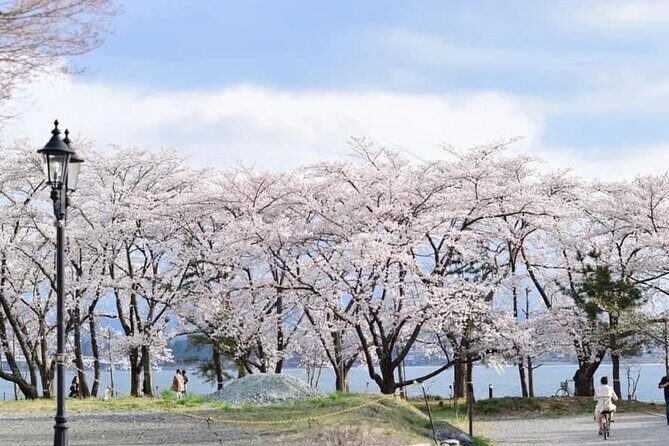 Mt Fuji 5th Station Kawaguchiko Gotemba Outlet mall Tour | Tokyo - The Experience at a Glance: An In-Depth Look
