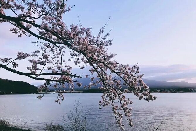 Mt Fuji 5th Station Kawaguchiko Gotemba Outlet mall Tour | Tokyo - FAQ