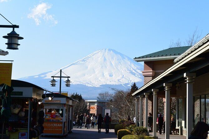 Mt. Fuji 5th Station, Oshino Hakkai and Hot Spring Day Trip - Who Will Love This Tour?