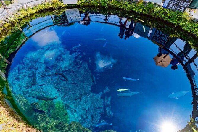 Mt Fuji 5th Station, Oshino Hakkai, Kawaguchiko Matcha Experience - What the Tour Offers: A Deep Dive into the Itinerary