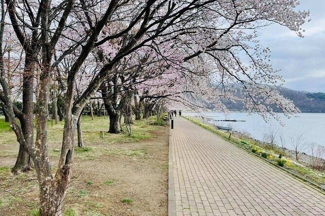 Mt Fuji 5th Station, Oshino Hakkai, Kawaguchiko Matcha Experience - Practical Details: What Travelers Need to Know