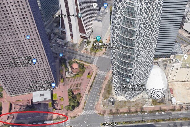 Mt. Fuji 5th Station, Owakudani Ropeway, Pirate Ship plus Outlet shopping! - Practical Details and What to Expect