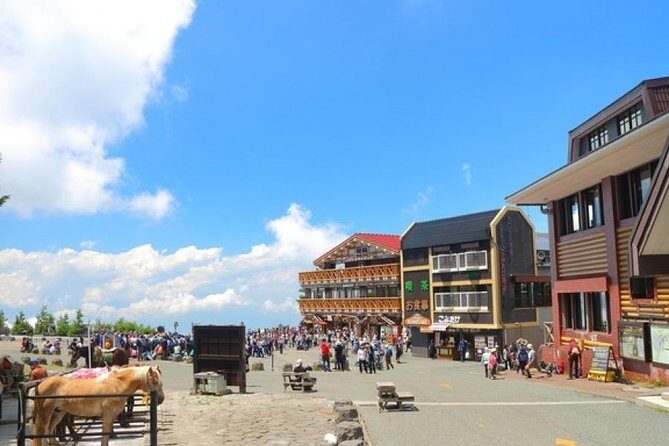 Mt. Fuji 5th Station, Owakudani Ropeway, Pirate Ship plus Outlet shopping! - Final Thoughts