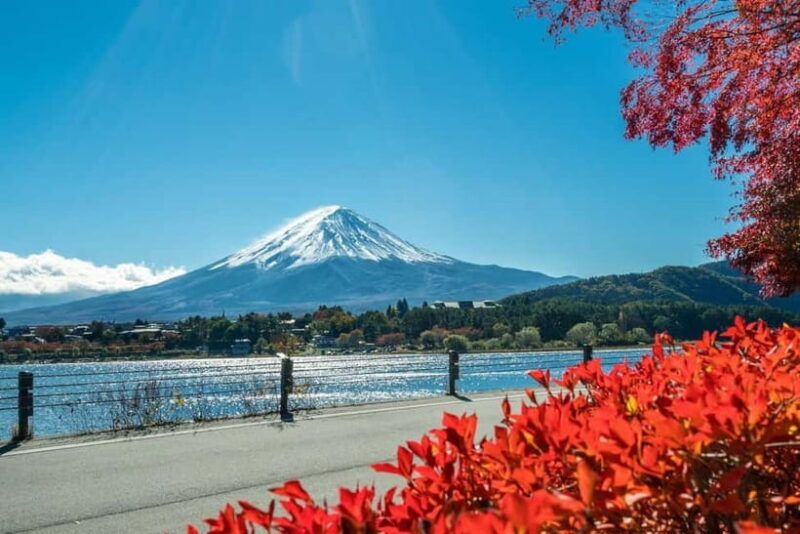 Mt. Fuji 6 Attractions Tour: Lake Kawaguchi, Oshino Hakkai - Final Thoughts: Who Should Join?