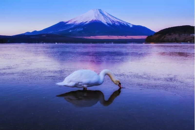 Mt. Fuji 6 Iconic Photo Spots Day Tour from Tokyo - Key Points