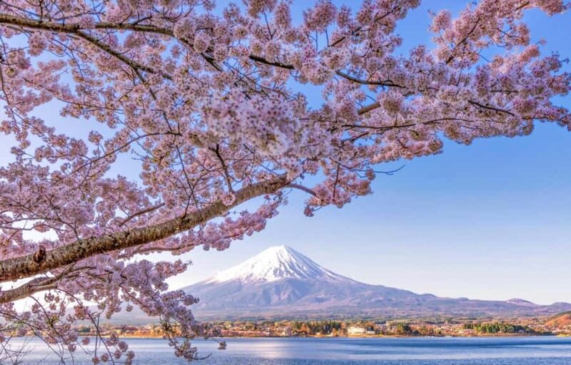 Mt.Fuji 6 Must-See Spots: Oshino& Lake Kawaguchi From Tokyo - Key Points