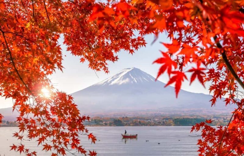 Mt.Fuji 6 Must-See Spots: Oshino& Lake Kawaguchi From Tokyo - Who Will Love This Tour?