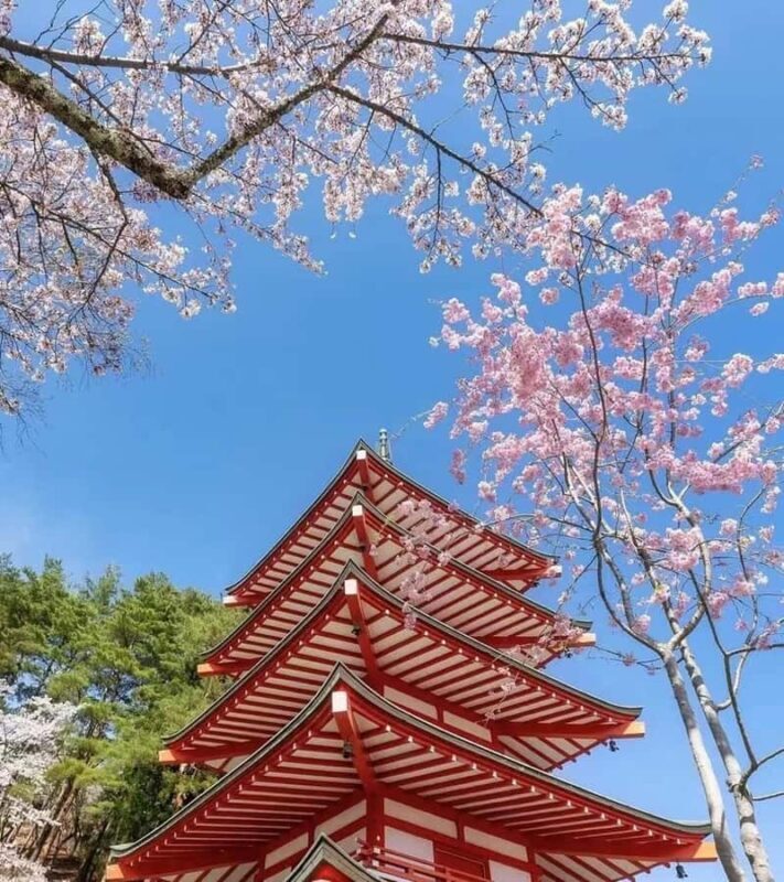 Mt.Fuji 6 Must-See Spots: Oshino& Lake Kawaguchi From Tokyo - Final Thoughts