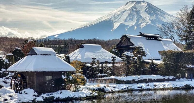 Mt. Fuji 6 Scenic Day Tour: Kawaguchiko & Lake Yamanaka - Who Will Love This Tour?