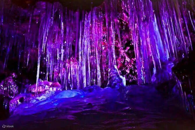 Mt. FUji and Cherry Blossom Day Trip with English Speaking Driver - Key Points