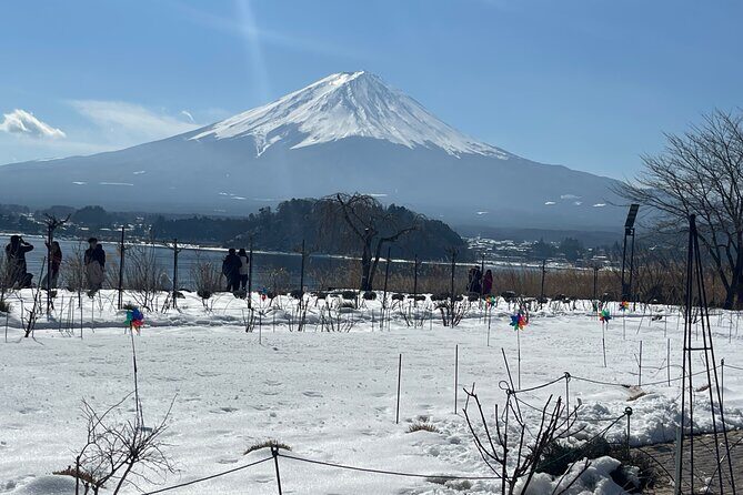 Mt. FUji and Cherry Blossom Day Trip with English Speaking Driver - FAQ