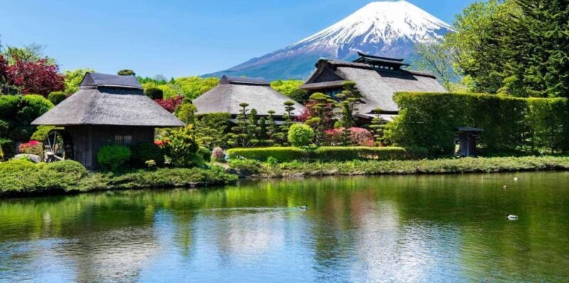 Mt.FUji and Cherry Blossom Full Day Trip with English Driver - An In-Depth Look at the Tour