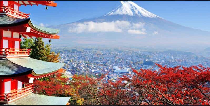 Mt.FUji and Cherry Blossom Full Day Trip with English Driver - Final Thoughts