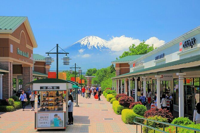 Mt. Fuji and Gotemba Outlet Private Day Trip From Tokyo - Key Points