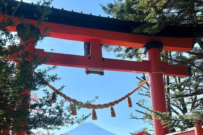 Mt. Fuji and Gotemba Outlet Private Day Trip From Tokyo - What Makes This Tour Stand Out?