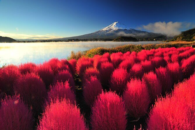Mt. Fuji and Hakone 1 Day Bus Tour + Kimono Experience - FAQs
