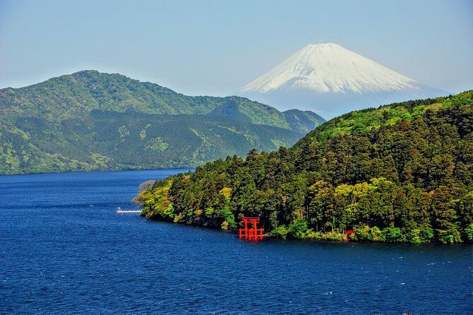 Mt Fuji and Hakone 1-Day Bus Tour Return by Bus - The Price and Overall Value