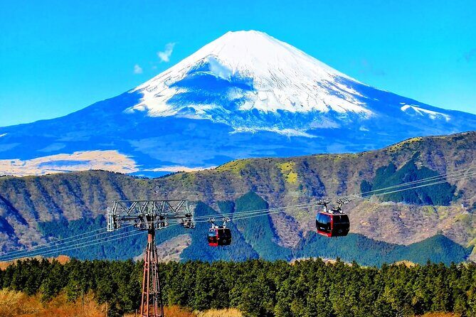Mt Fuji and Hakone 1-Day Bus Tour Return by Bus - Who Will Love This Tour?