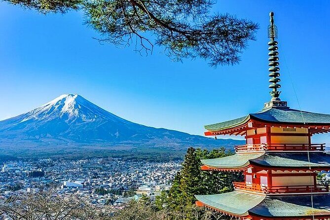 Mt. Fuji and Hakone Area Tour from Tokyo with Guide & Vehicle - The Guide and Flexibility