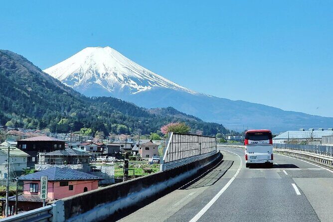 Mt. Fuji and Hakone Day Tour from Tokyo with Indian Lunch - Exploring the Itinerary in Detail