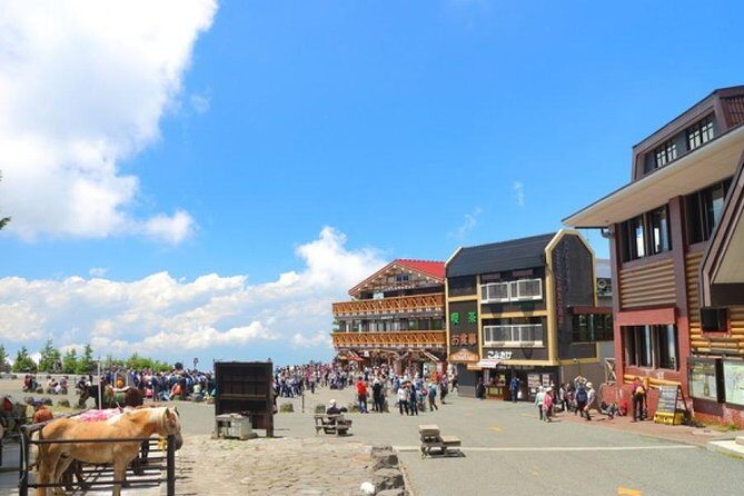 Mt. Fuji and Hakone Day Trip From Tokyo with Bullet Train Option - FAQ