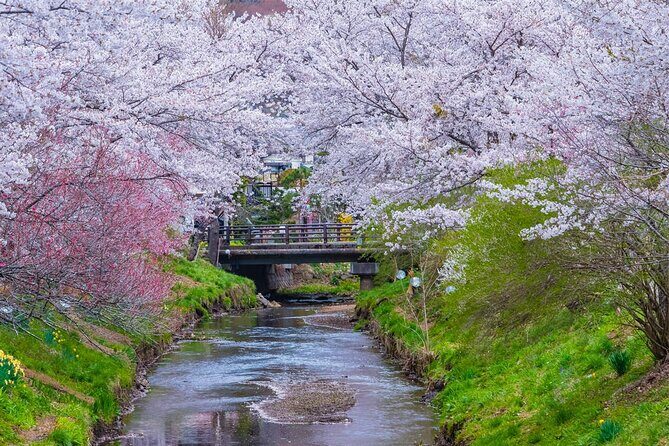 Mt Fuji and Hakone Day Trip from Tokyo with Ropeway Experience - What Travelers Say: Authentic Insights