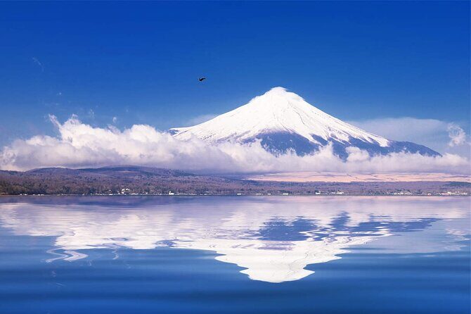 Mt Fuji and Hakone Day Trip from Tokyo with Ropeway Experience - Who Should Consider This Tour?