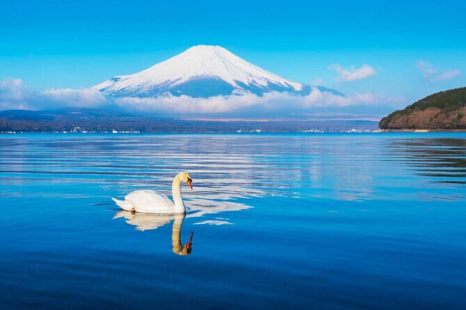 Mt Fuji and Hakone Day Trip from Tokyo with Ropeway Experience - FAQ