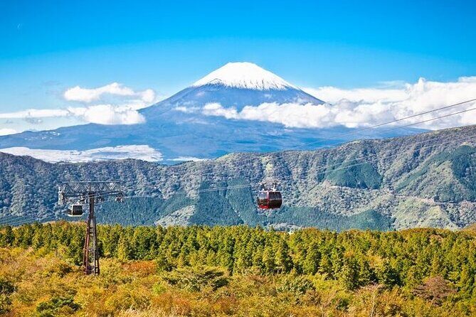 Mt. Fuji and Hakone Full Day Tour with English Speaking Driver - Why Choose This Tour?