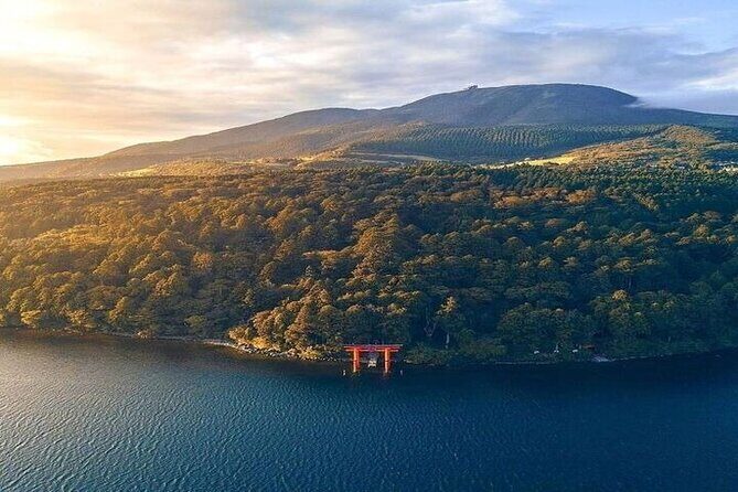 Mt. Fuji and Hakone Full Day Tour with English Speaking Driver - Authentic Experiences and Review Insights