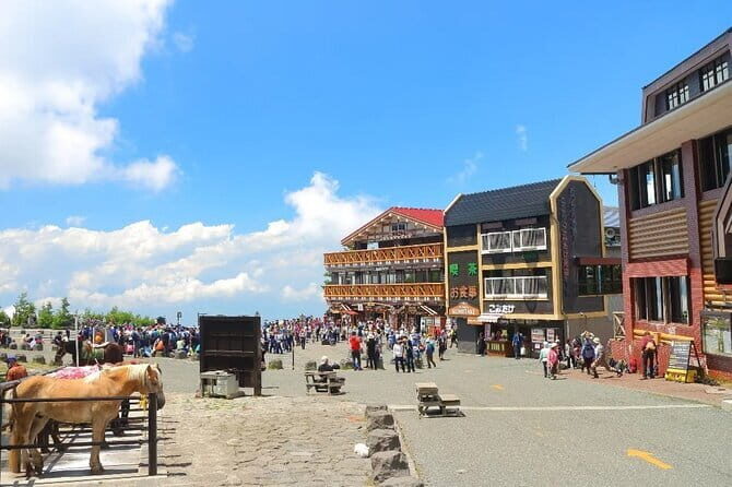 Mt Fuji and Hakone One Day Tour departure from Tokyo with lunch - Mt. Fuji 5th Station