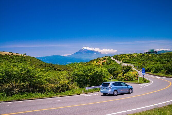 Mt. Fuji and Hakone Private Day Tour by Bullet Train and Car - The Practical Side: Costs, Timing, and Logistics
