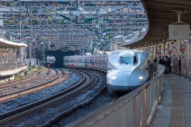 Mt. Fuji and Hakone Private Day Tour by Bullet Train and Car - Authentic Experiences and Additional Insights