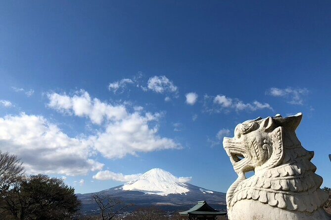 Mt. Fuji and Hakone Private Day Tour by Bullet Train and Car - FAQ