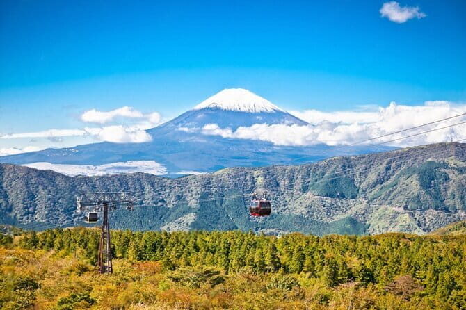 Mt Fuji and Hakone Private Day Tour - Key Points