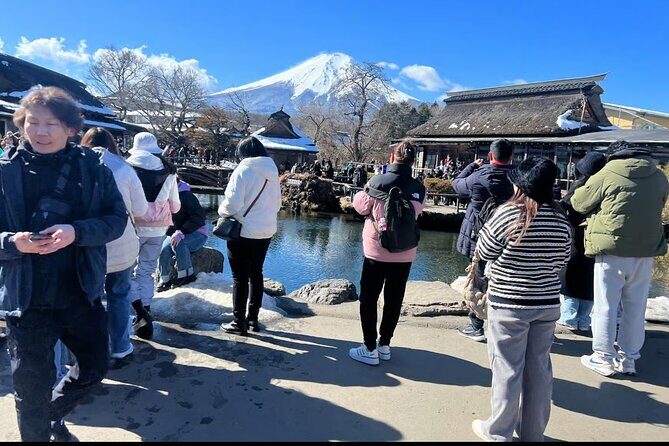 Mt Fuji and Hakone Private tour in Luxury Vehicle with Pro guide - Introduction: Why Consider a Private, Luxury Tour?