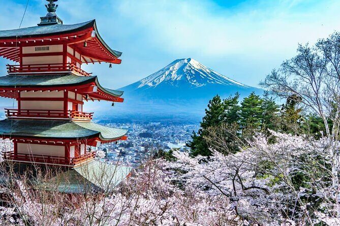 Mt Fuji and Hakone Private tour in Luxury Vehicle with Pro guide - What’s Included and What’s Not