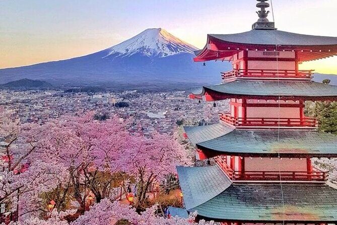 Mt Fuji and Hakone Private tour in Luxury Vehicle with Pro guide - Authentic Experiences and Practical Insights